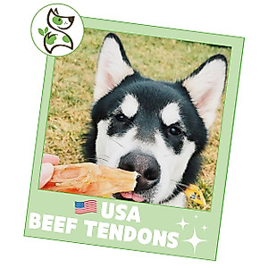 Nature Gnaws USA Beef Tendons for Dogs (8oz) - Mixed Thickness - Long Lasting for Aggressive Chewers - Premium Natural Beef Dog Chew Treats - Rawhide Free