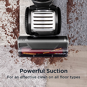 EUREKA Pet Upright Vacuum Cleaner for Home, Bagless Upright Vacuum Cleaner Swivel Steering, Powerful Lightweight Upright Vacuum Carpet and Floor, FloorRover Elite NEU630 with Tangle Free Tech, Red