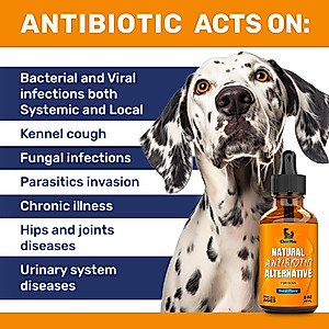 Natural Antibiotics for Dogs ◆ Dog Antibiotic ◆ Antibiotics for Dogs ◆ Dog Multivitamin ◆ Pet Antibiotic ◆ Dog Antibiotics ◆ Antibiotic for Dogs ◆ 2 Oz