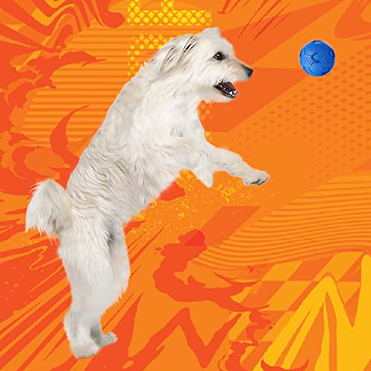 Nerf Dog Soccer Ball Dog Toy with Interactive Squeaker, Lightweight, Durable and Water Resistant, 2.5 Inches, For Small/Medium/Large Breeds, Two Pack, Blue and Red