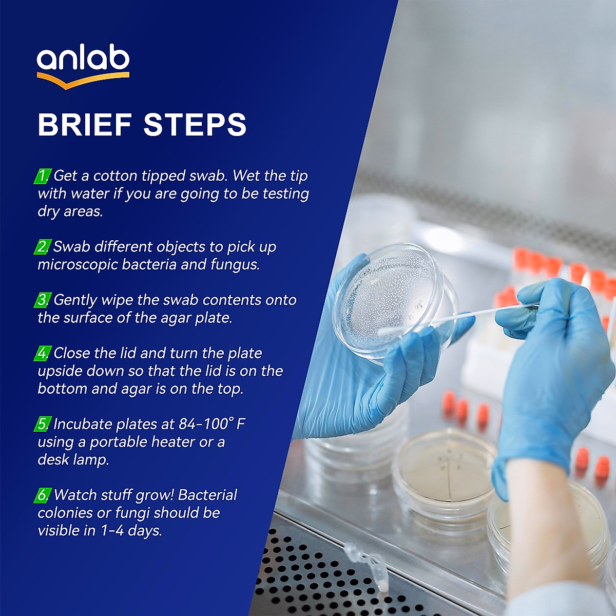 anlab™ Nutrient Agar Petri Dishes Science Project Kit, 10 Pre-Poured Agar Plates and Cotton Swabs for Science Experiments, Bacteria Science Kit - Sealed Separately (Amazon Delivery)