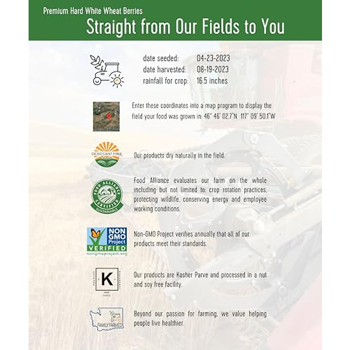 Non-GMO Project Verified Hard White Wheat Berries | 5 LB Burlap Bag | 100% Non-Irradiated | Kosher Parve | USA Grown | Field Traced