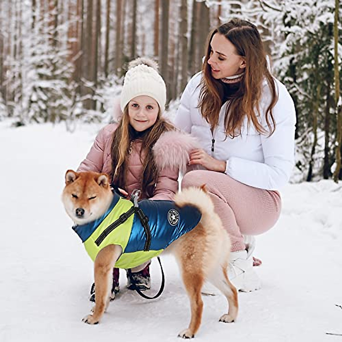 BAEJMJK Dog Reflective Winter Coat with Harness Warm Cold Weather Jacket for Small Medium Dogs Zip Up Turtleneck Puppy Vest with D-Ring Waterproof Windproof Dog Winter Clothes(Blue，2X-Large)