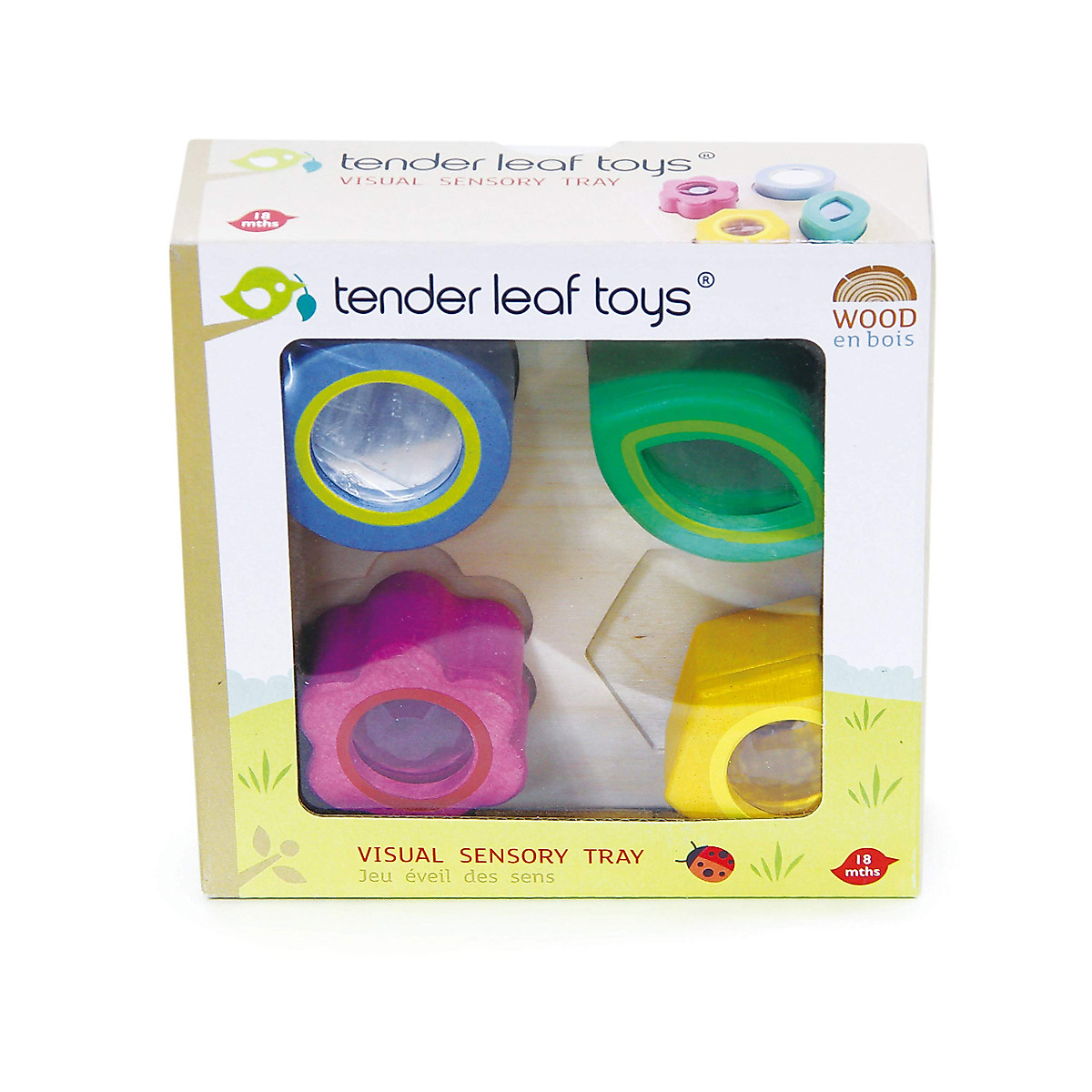 Tender Leaf Toys - Sensory Trays - Baby Blocks, Shape Sorter, STEM Learning Shape Identification Sorting Game Toy for Kids 18 Month + (Visual Sensory Trays)
