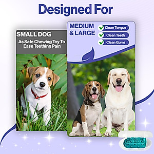 1TO3GO Finger Toothbrush for Dogs, Silicone Dog Toothbrush, Dog Teeth Cleaning Kit Protects Gums Dog Dental Care (Multi-Color Orange or Pink, 4-Pack)