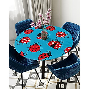 Elastic Fitted Tablecloth Waterproof Table Cloth Cute Ladybug Red Black Carapace Insect Dense Animal Blue Wipeable Round Table Cover for Outdoor Picnic Camping Party