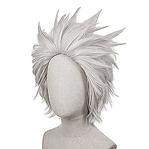 FYXZHUO Men's Short Sliver White Cosplay Wig Straight Anime Hair Wigs for Halloween