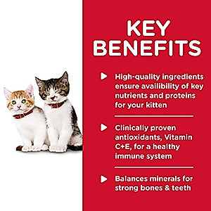 Hill's Science Diet Kitten Liver & Chicken Entrée Wet Cat Food, 2.9 oz. Cans, 24-Pack