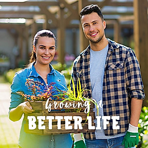 Snowball Cauliflower Seeds for Planting - Non-GMO Heirloom Packet with Instructions to Plant & Grow a Home Outdoor Vegetable Garden (200 Seeds) – Great Gardening Gift, 1 Packet