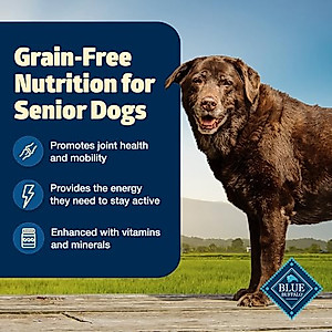 Blue Buffalo Freedom Grain-Free Senior Dry Dog Food, Provides Energy To Stay Active, Made in the USA with Natural Ingredients, Chicken & Potatoes, 11-lb. Bag