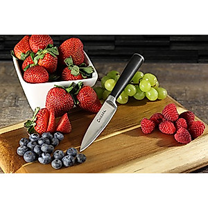 Ginsu Gourmet Chikara Series Forged 420J Japanese Stainless Steel Paring Knife, 07148DS, Black, 3.5 inch