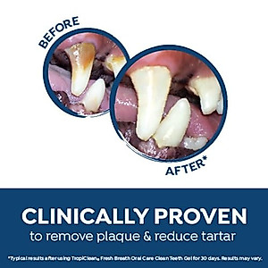 Fresh Breath Certified Wellness Collection Vet Recommended Peanut Butter Oral Care Clean Teeth Gel for Dogs | Removes Plaque & Tartar | Cleans Teeth | Dog Dental Care | No Brushing Required | 2 oz