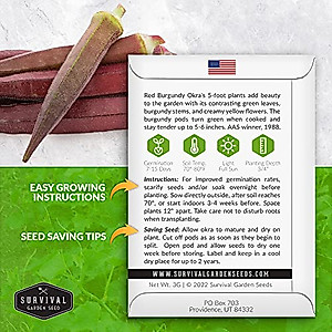 Survival Garden Seeds - Red Burgundy Okra Seed for Planting - Packet with Instructions to Plant and Grow Tender Burgundy Okra Pods in Your Home Vegetable Garden - Non-GMO Heirloom Variety