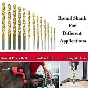 SATTDMAIC 13Pcs Drill Bit Set, HSS Metal Drill Bits with Titanium Finish, 1/16”-1/4” for Wood, Plastic, Aluminum Alloy, Metal, with Metal Drill Index (Drill bit Set)