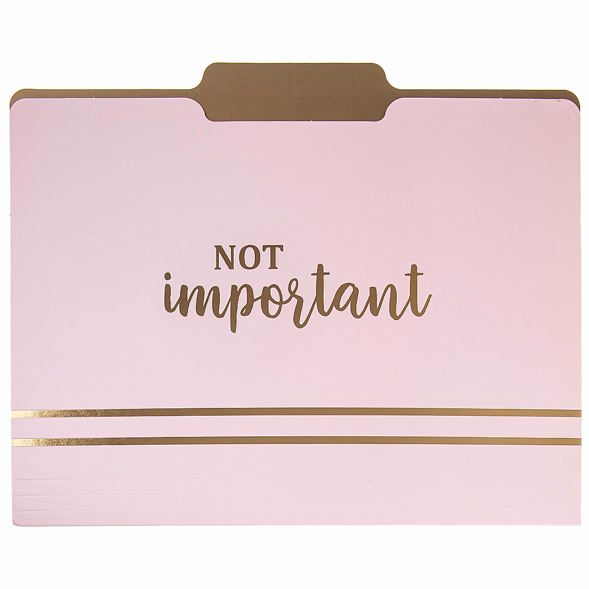 Graphique Designer “Very Important” File Folders | Set of 9 (3 Designs) | Letter Size Organizers | Decorative Office Supplies | Durable Coated Cardstock | Gold Foil Lettering | 1/3-Cut Tabs,Leopard