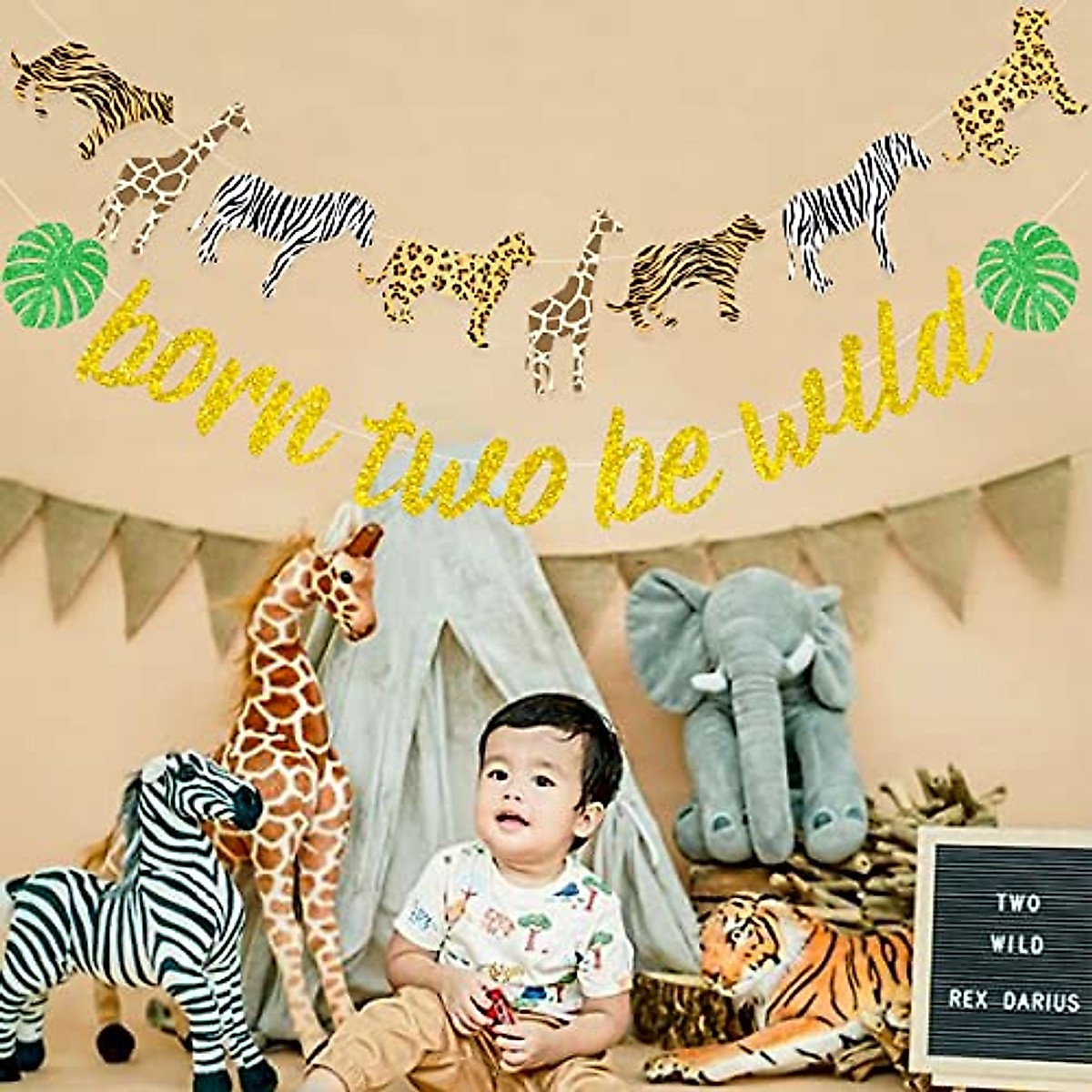 Born Two Be Wild Banner Gold Glitter Animal Print Cheetah Garland, Jungle Safari Theme Wild Two Second Birthday Party Decorations for Kids