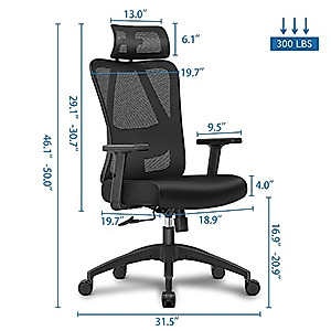 Primy Ergonomic Office Chair,High Back Desk Chair with Adjustable Headrest with 2D Arms,Lumbar Support and PU Wheels,Big and Tall Office Chair for Home and Office,Tilt Function Computer Chair (18-H)