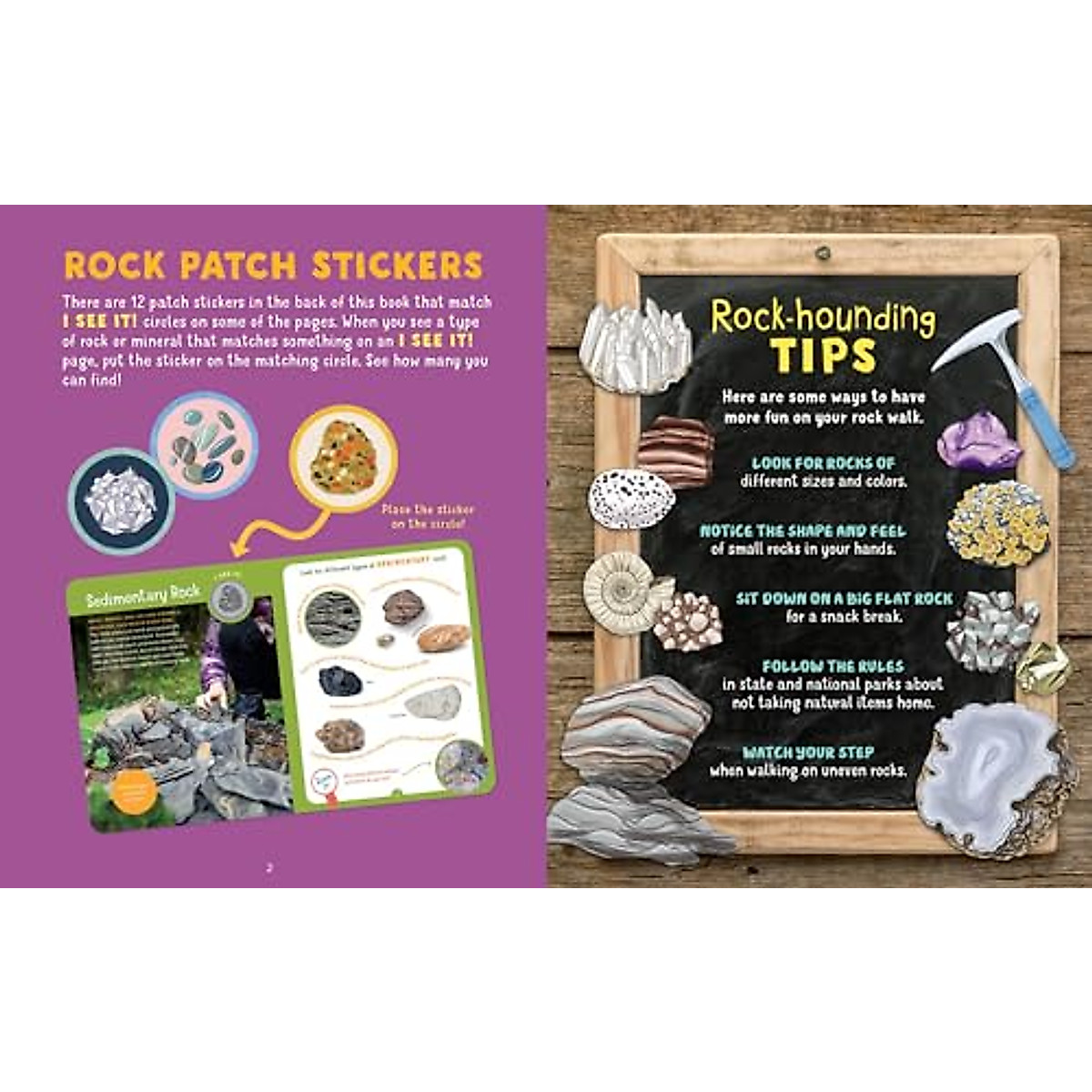 Backpack Explorer: Rock Hunt: What Will You Find?