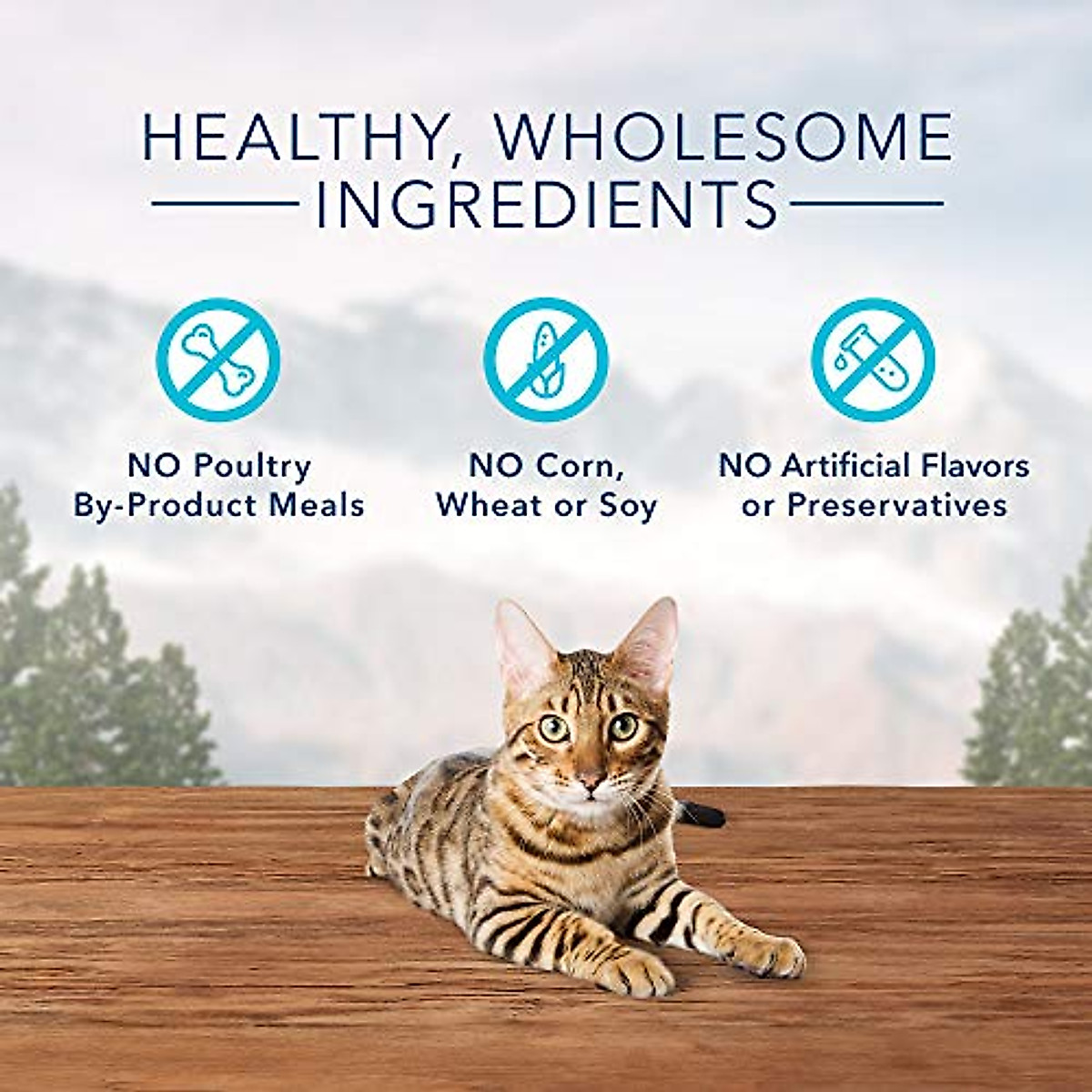 Blue Buffalo Wilderness Crunchy Cat Treats, Chicken 12-oz Tub