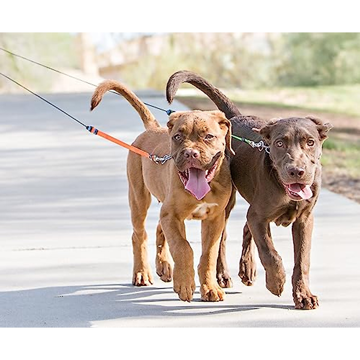 WIGZI (2 Two Dog Reflective Retractable Pet Leash – 360 Degree Zero Tangle Patent - Two Dogs Each up to 50 lbs and 10ft. Reflective Orange and Green Leads. Dual Locking, Small, Gray