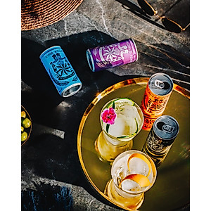 East Imperial Tonic Water, Grapefruit Soda & Ginger Beer, Can Collection, 6.1 Fl Oz (3x 10 Packs)