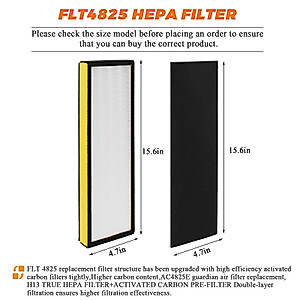 Blutoget FLT4825 Replacement Filter B Replaces AC4825 AC4825E AC4825DLX(Pack of 2 x HEPA Filters + 2 x Carbon Pre-Filters)