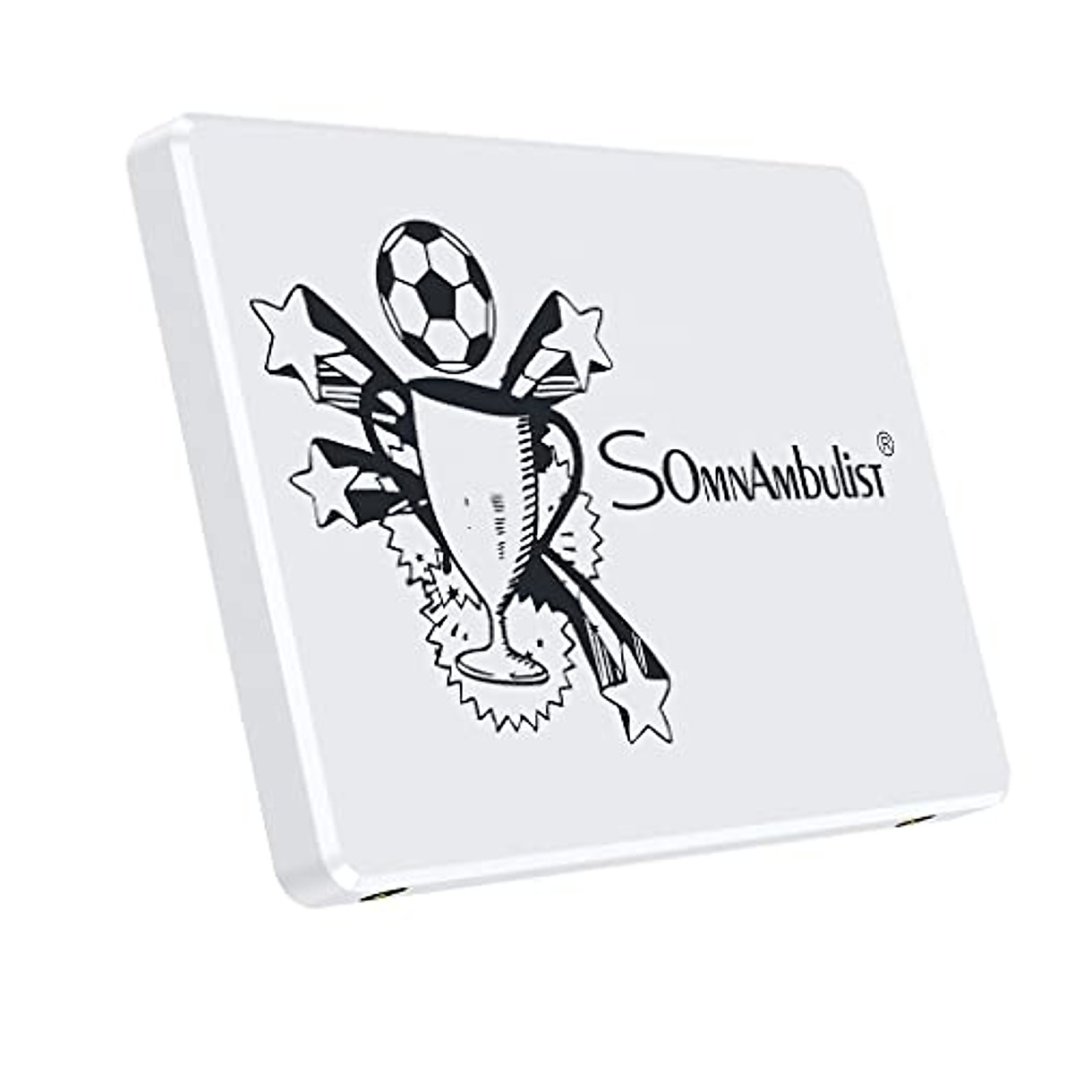 Somnambulist 2.5 sata ssd 120gb 240gb 480gb 960gb 2tb HDD ssd 60gb Solid State Drive Suitable for Desktop Laptop (White Trophy 2TB)