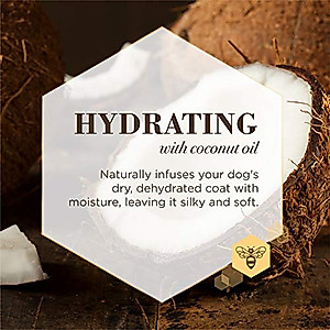 Burt's Bees for Dogs Care Plus+ Natural Hydrating Shampoo with Coconut Oil + Dog Grooming Supplies - Natural Dog Shampoo and Conditioner, Burts Bees Dog Conditioner, Puppy Shampoo