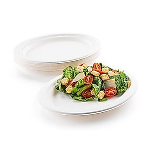 Chinet Premium 12 5/8 x 10-Inch Paper Platters, 24 ct - 2 Pack
