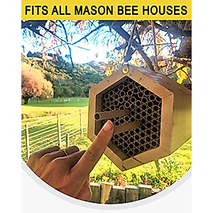 Cardboard Bee Nesting Tubes 2 Pack, 220 Piece Mason Bee Tube Refills for Beekeepers, Bee Hotel and Mason Bee House Replacement Refill Tube Inserts, 5 Inches