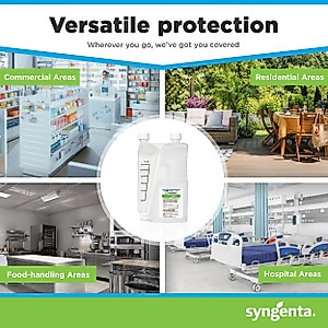 Tandem Insecticide Quart