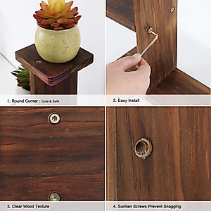 COOGOU Wood Desktop Plant Stand Indoor Small Windowsill Flower Shelf Tabletop Plant Shelf Holder Display Rack for Succulent Herb in Living Room Office