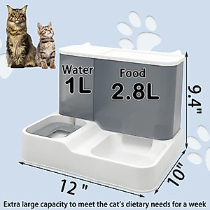 Apatal Gravity Automatic Cat Feeder Set, 2 in 1 Gravity Pet Food and Water Bowl Set All-in-One Auto Puppy Supply Feeding Watering Supplies for Small Medium Indoor Dogs Cats Pets(Grey)