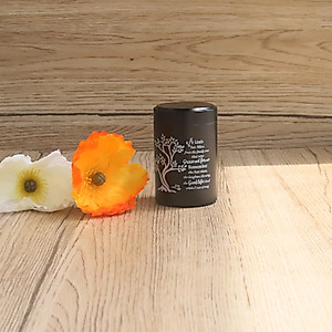 Small Urns for Human Ashes Set of 6 Mini Urn for Ashes 3 inches Keepsake Urns for Ashes for Sharing Small Keepsake Urns Memorial Ashes Holder