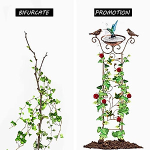 AWENDIETOU Bird Bath with Garden Trellis for Climbing Plants Outdoor 2 in 1 Bird Baths Bowl,Bird Bath for Outdoors Birdfeeder with Metal Antique Iron Easy to Install Detachable B