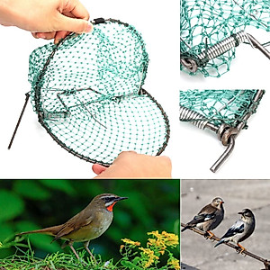 Bird Pigeon Trap, Bird Net Starling Traps, Humane Live Bird Catcher Net, for Small Birds Pigeons Sparrow Quail (30cm)