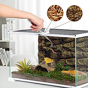 OIIBO 15 Gallon Glass Reptile Terrarium Tank, 20" X 12" X 14" Medium Reptile Terrarium with Sliding Screen Top for Gecko, Hermit Crab, Snake Reptiles and Small Animals