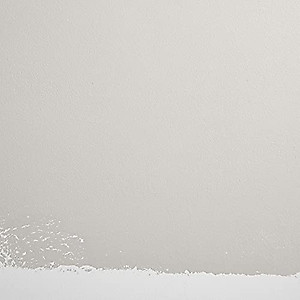 BACKDROP | Premium Interior Paint | Standard Semi Matte, Low Sheen Finish | Self-Priming, Low VOC, Green Wise Certified | RITUAL UNIONS – Neutral, light gray | 0.5 Gallon