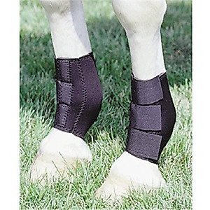 Neoprene Ankle Boots HIND Legs Boots Leg Protection Care Horse Barrel Racing Reining Training