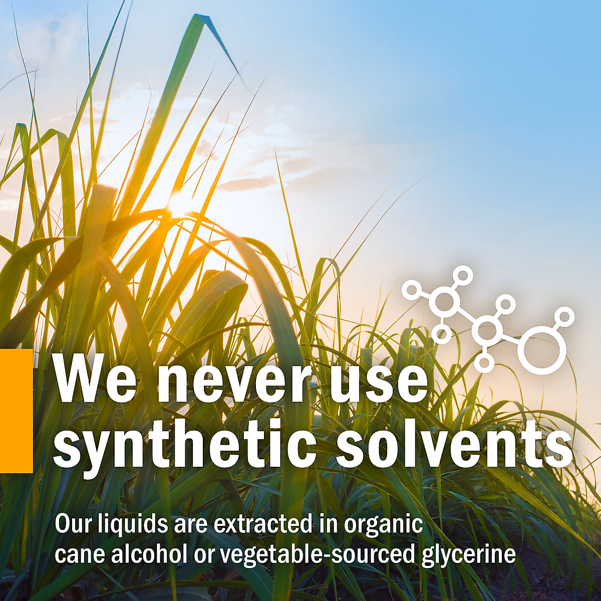 Herb Pharm Certified Organic Stoneroot Blend Liquid Extract for Cardiovascular and Circulatory Support-4 oz