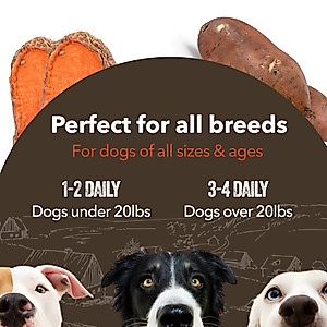 Gaines Family Farmstead Sweet Potato Chews for Dogs, Sweet Potato Dog Treats, Made in The USA, High in Fiber, Grain Free, Vegetarian Alternative to Rawhide, Rich in Vitamins, 14 Ounce Bag