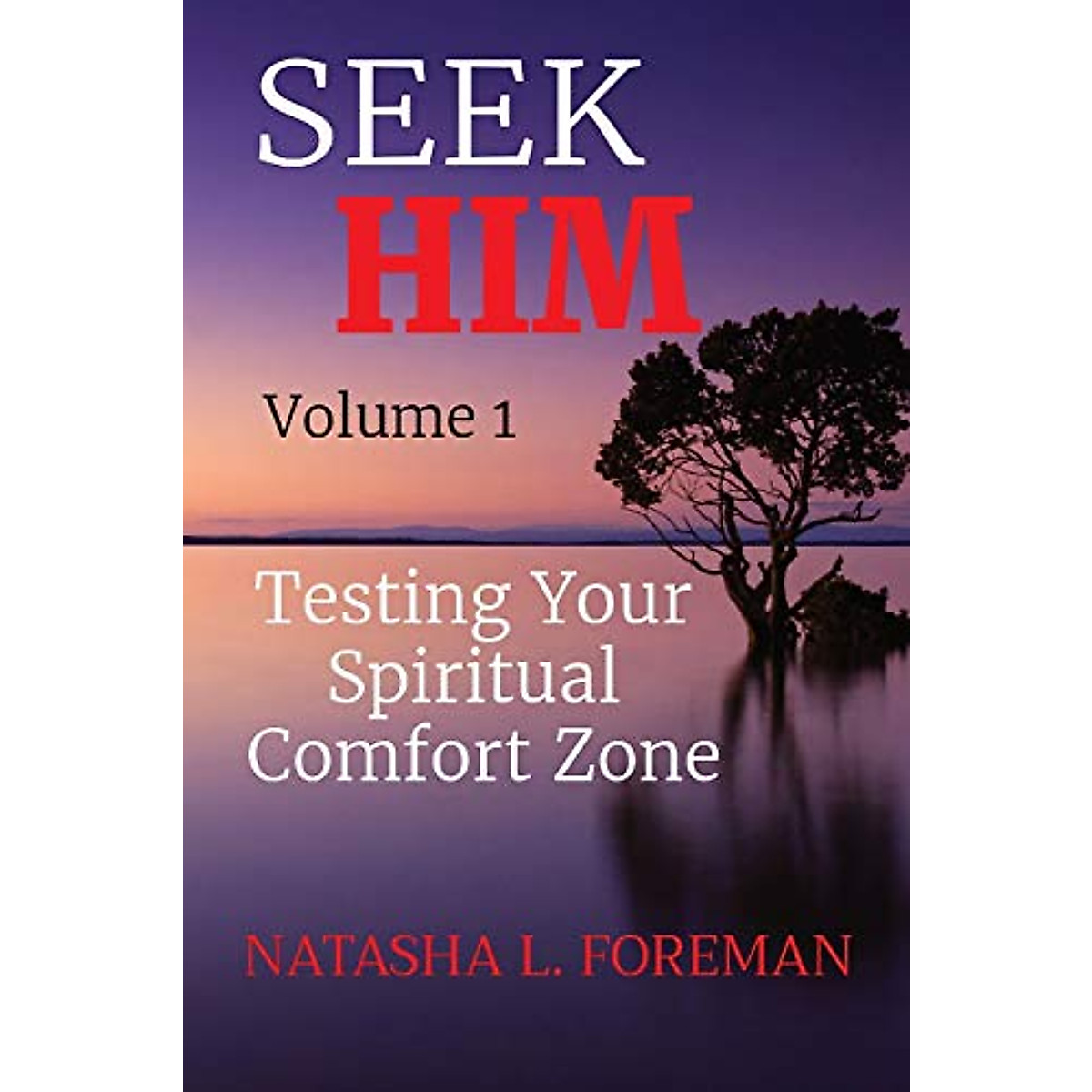 SEEK HIM Volume 1: Testing Your Spiritual Comfort Zone