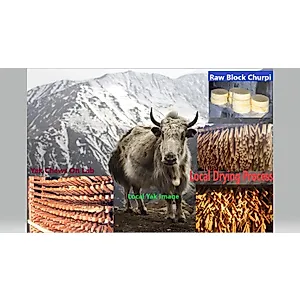 QT Shopping LLC Snow Hill Natural Dog Chews Large 10 Pieces Bulk Pack Himalayan Yak Milk Cheese Strong Natural Treats