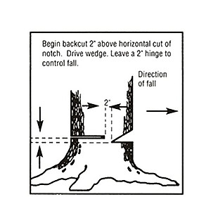 TIPU Felling Wedge for Safe Tree Cutting, 4 Pack: 8"(2-Pack)/5.5"(2-Pack), Tree Felling Wedge to Guide Trees Stabilize and Safely to Ground for Loggers and Fallers