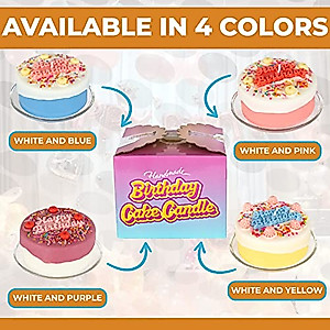 Happy Birthday Gift Cake Candle - Beautiful Cute Cool 10 oz Bday Scented Candle ~ Looks Like a Real Cake ~ Presented in a Stylish Gift Box ~ 100% Soy Wax (Does Not Include Glass Tray)
