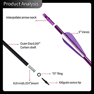 FENJANER Archery 30 inch Carbon Arrows Fluorescence Color Targeting and Practice and Hunting Arrows with Detachable Tip for Recurve Bow and Compound Bow(Pack of 12) (Purple)