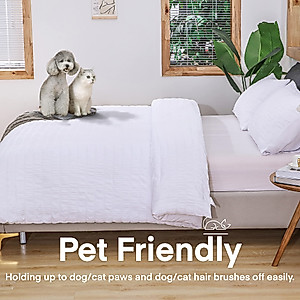 AveLom Seersucker Queen Comforter Set (90x90 inches), 3 Pieces - 100% Soft Washed Microfiber Lightweight Comforter with 2 Pillowcases, All Season Down Alternative Comforter Set for Bedding, White