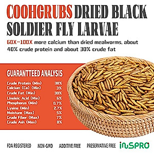 coohgrubs Premium Quality Dried Black Soldier Fly Larvae, Natural Nutritious Grubs for Chickens, High Protein and Calcium Rich Treats for Laying Hens, Ducks, Geese, Turkeys, Quails and More