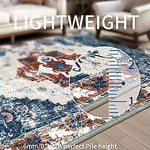 FAIOKAVER Washable Boho 3'x5' Area Rug - Non Slip, Foldable Indoor Carpet for Living Room, Bedroom, Kitchen-Easy to Clean, Durable and Stylish,Multi Color