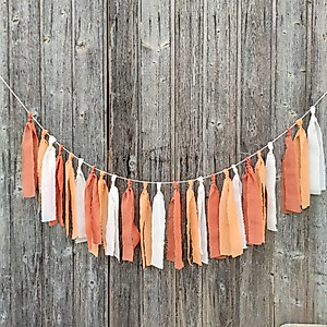 Mybbshower Chiffon Tsaasel Garland for Burnt Orche Coral Peach Orange Wedding Tea Party Hanging Party Decorations Birthday Bridal Baby Shower